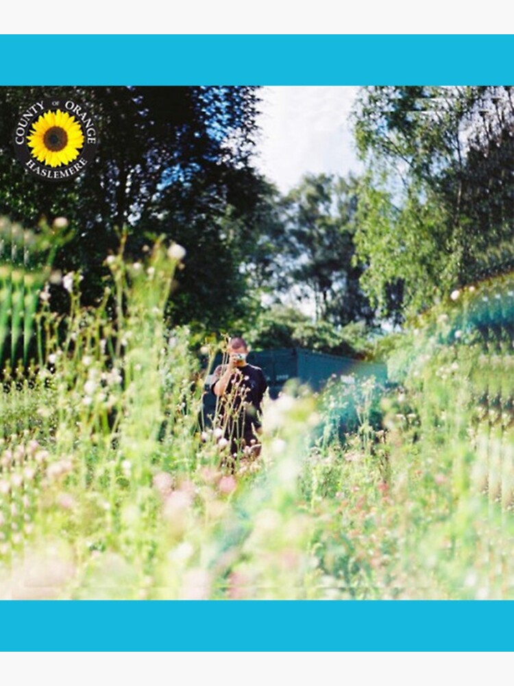 "Rex Orange County - Sunflower Album Cover " Poster for Sale by ...