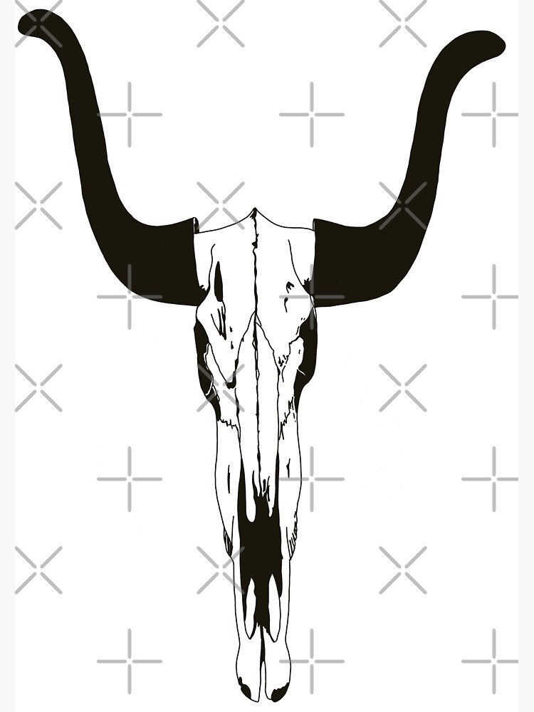 "Cow Skull" Sticker by HierachyDesigns | Redbubble