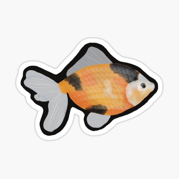 "Fantail Goldfish" Sticker by HOTHomestead | Redbubble