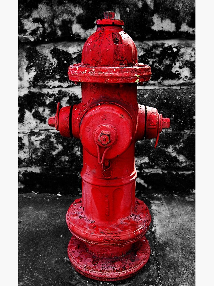 "Iconic red fire hydrant in Key West" Art Print for Sale by MBK ...