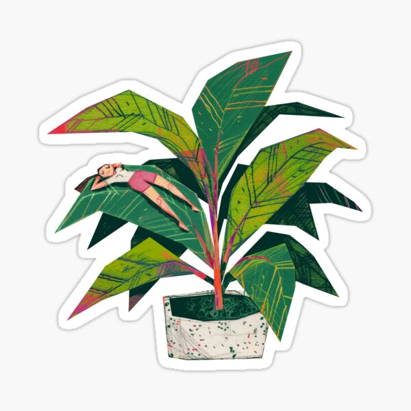 "Photosynthesis" Sticker by CarlottArt | Redbubble