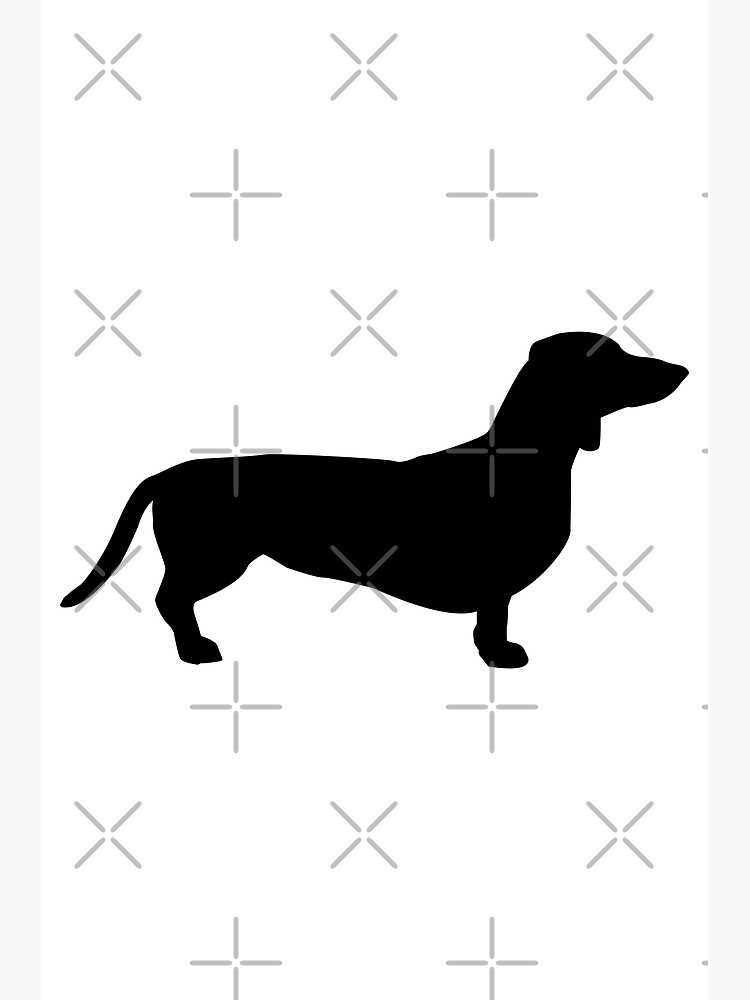 Póster «Copie de Ilustración de perro - Dachshund miniature - Silueta ...