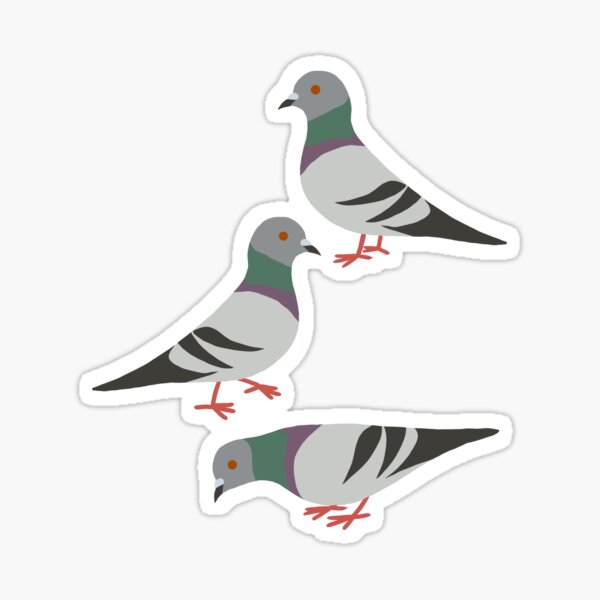"Funny Birds Pigeon" Sticker by alwe-designs | Redbubble