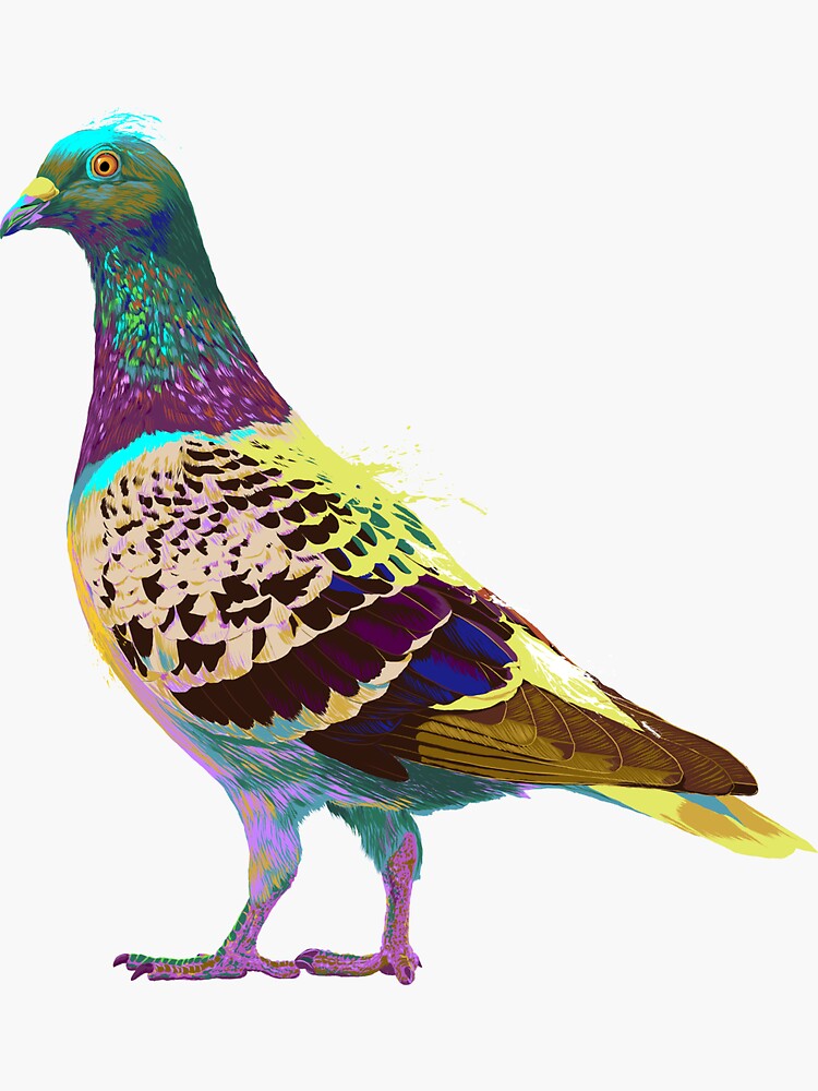 "Colorful Splash Bird Pigeon" Sticker by alwe-designs | Redbubble