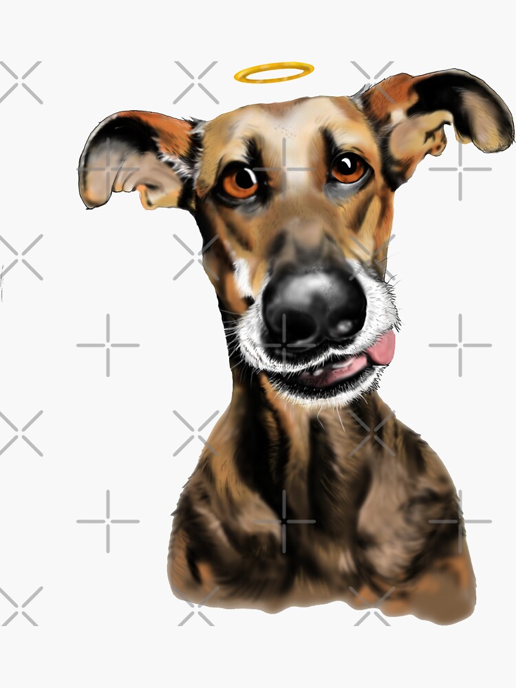 "angel dog" Sticker by Fabiohenrique | Redbubble