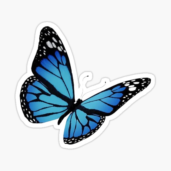 "Blue Butterfly Sticker" Sticker for Sale by Issajackiesabo | Redbubble