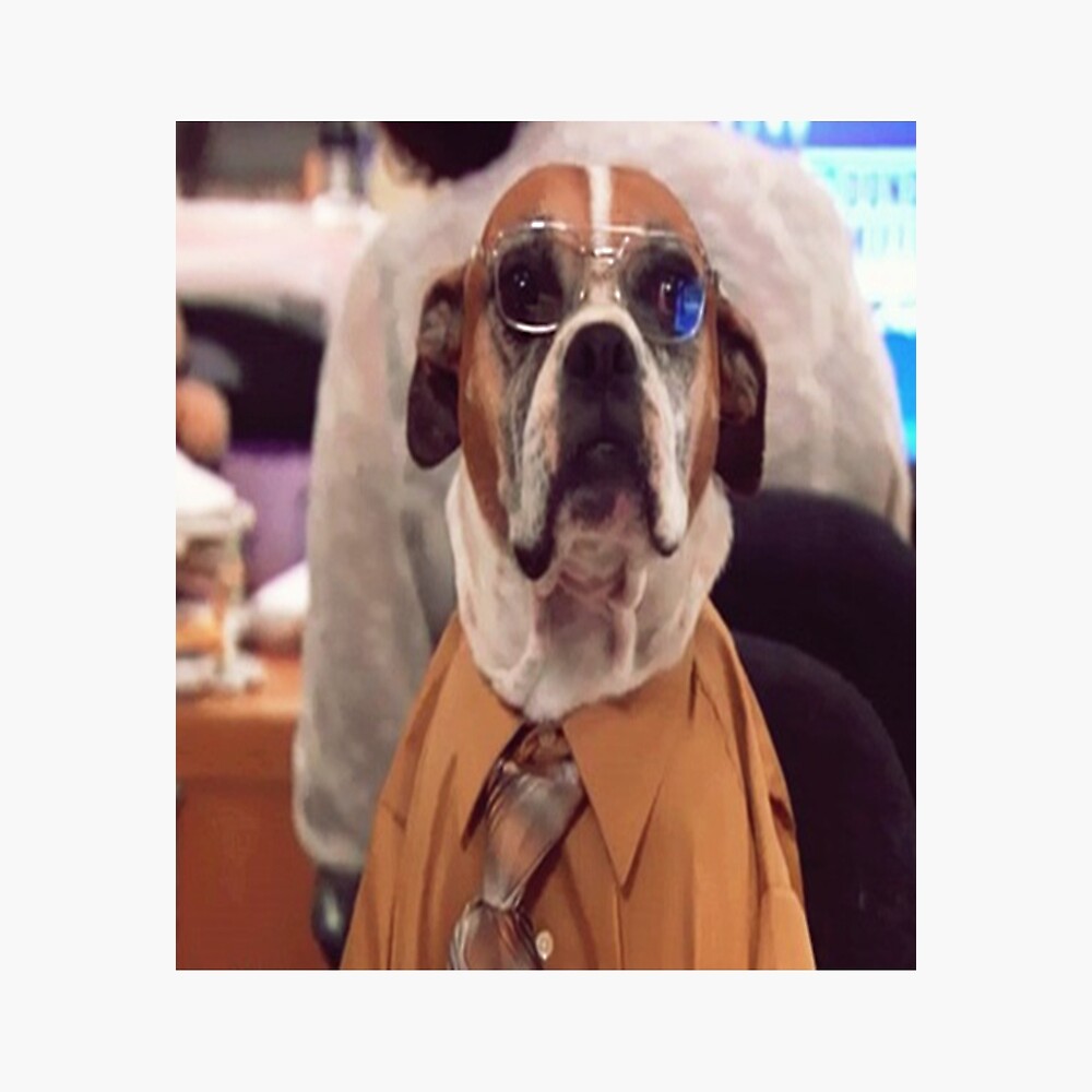 Dog Dwight Schrute The Office Prank Greeting Card | canoeracing.org.uk