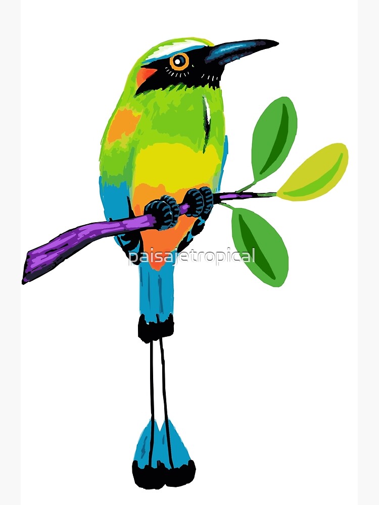 "The beautiful Torogoz bird 1" Poster for Sale by paisajetropical ...