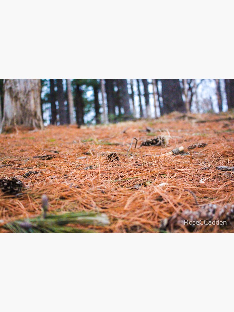 "Pine Needle Forest Floor" Sticker for Sale by RoseCCadden | Redbubble