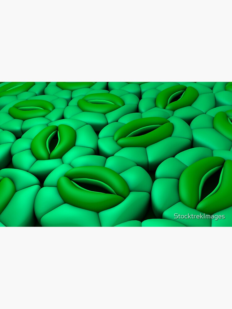 "Conceptual image of stomata." Sticker by StocktrekImages | Redbubble
