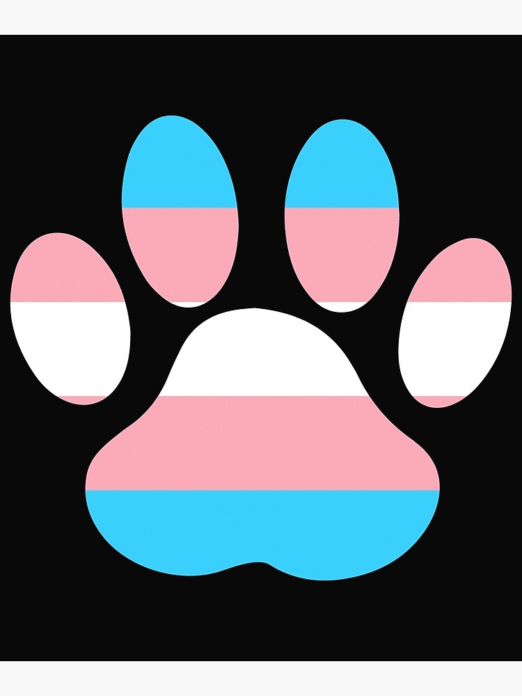 "Cute Dog Paw Simple Transgender Pride Flag" Poster for Sale by ...