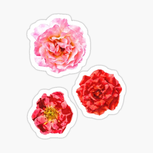 "WC Floral Sticker Pack" Sticker by LL00Blooms | Redbubble