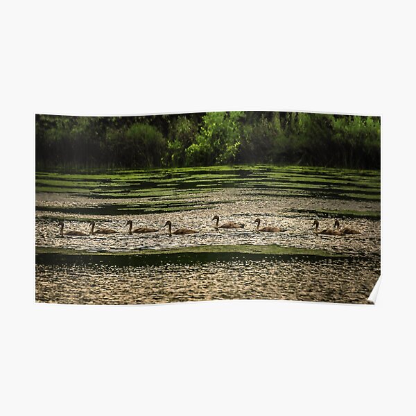 "Line Astern" Poster by tyke29 | Redbubble