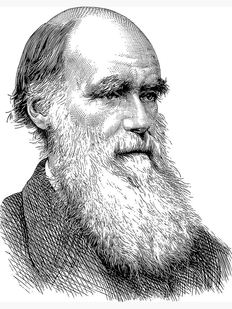Charles Darwin Portrait Premium Matte Vertical Poster sold by Tonga ...