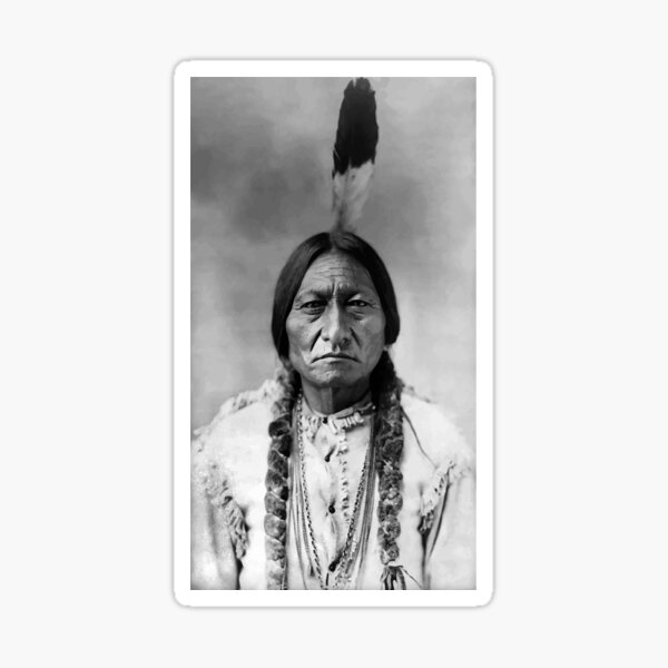 "Chief Sitting Bull Portrait " Sticker for Sale by OnlyC | Redbubble