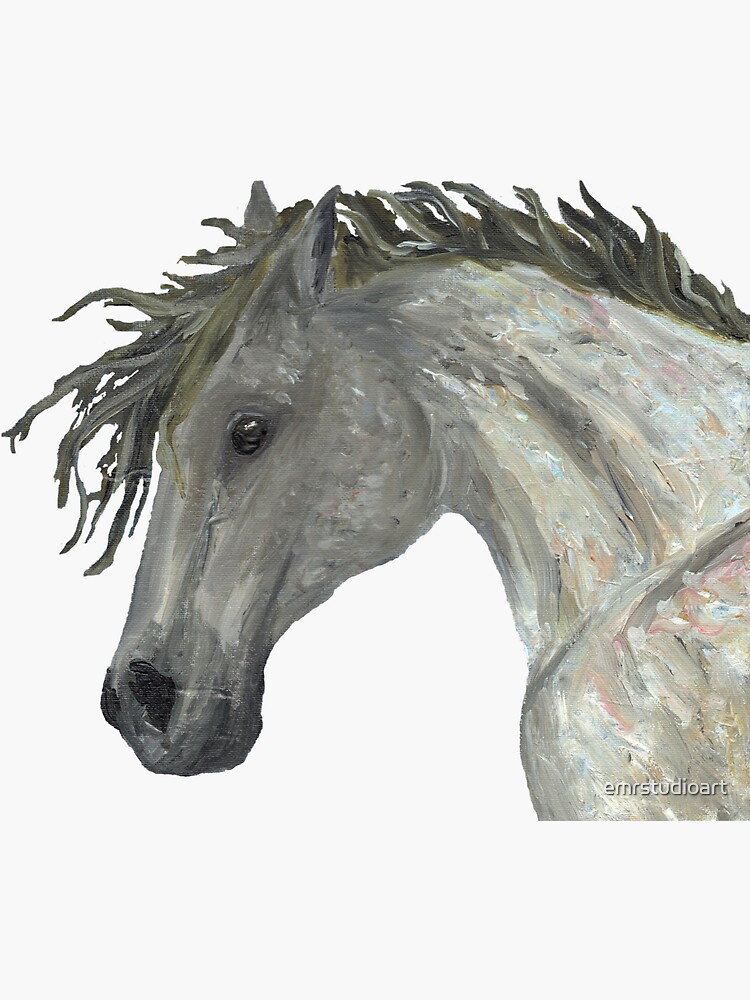 "Wild Brumby " Sticker by emrstudioart | Redbubble