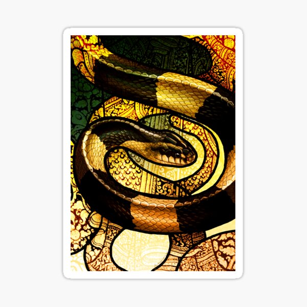 Krait Gifts & Merchandise | Redbubble