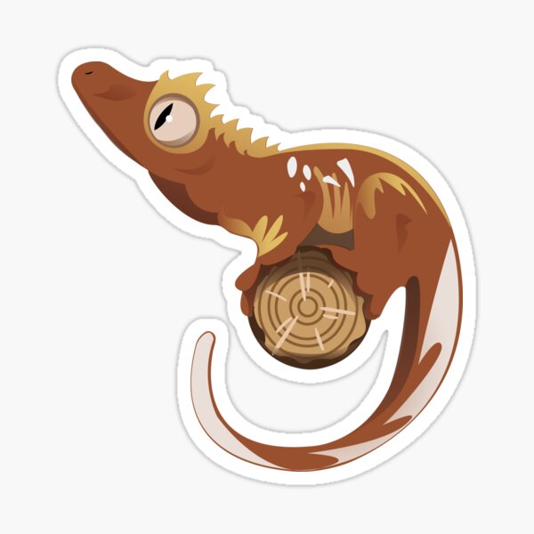 Crested Gecko Stickers | Redbubble