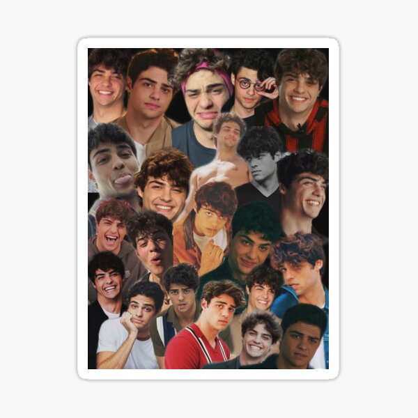 "noah centineo photo collage" Sticker for Sale by T-shirtakStore ...