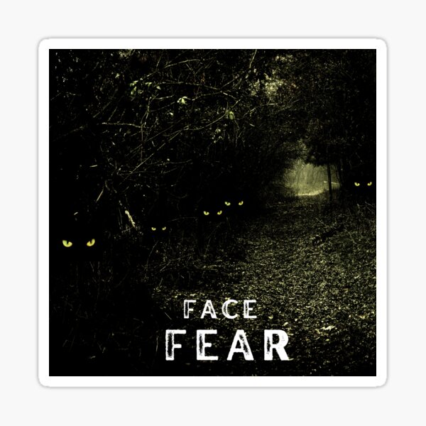 "Face Fear - Inspirational, motivational" Sticker for Sale by dsrdirect ...
