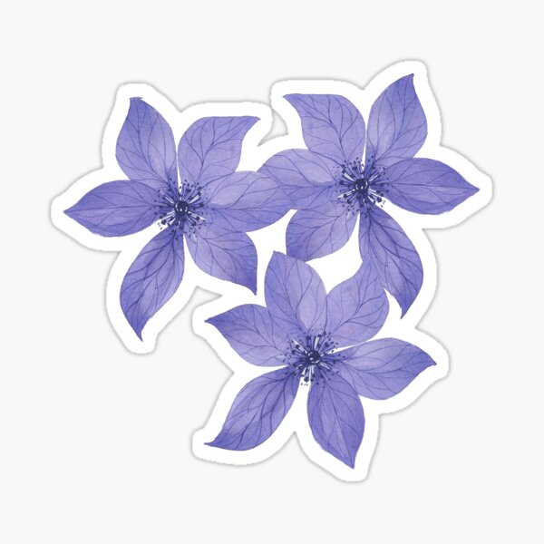 "Monochromatic Periwinkle Flowers" Sticker by HildegunStudio | Redbubble