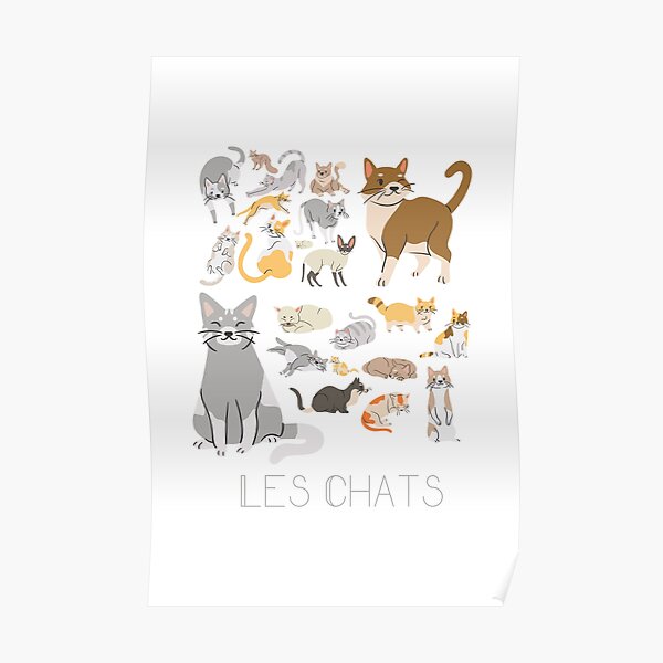 "The Cats " Poster for Sale by katiebrwn499 | Redbubble