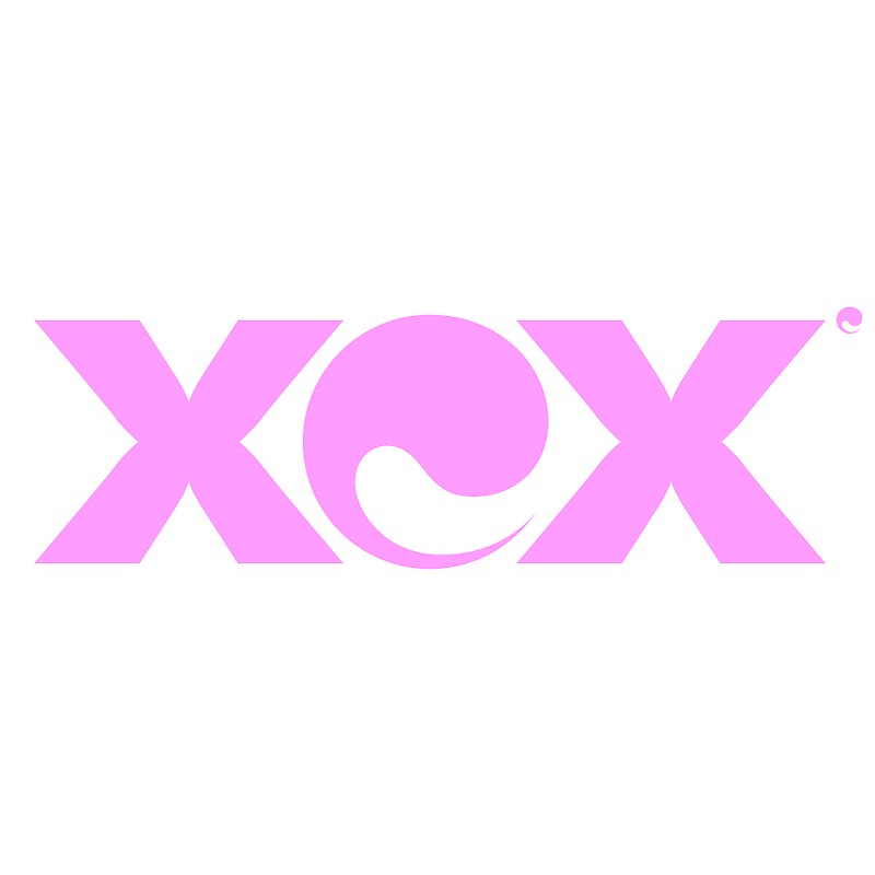 "Charli XCX logo" Stickers by lalalohan | Redbubble