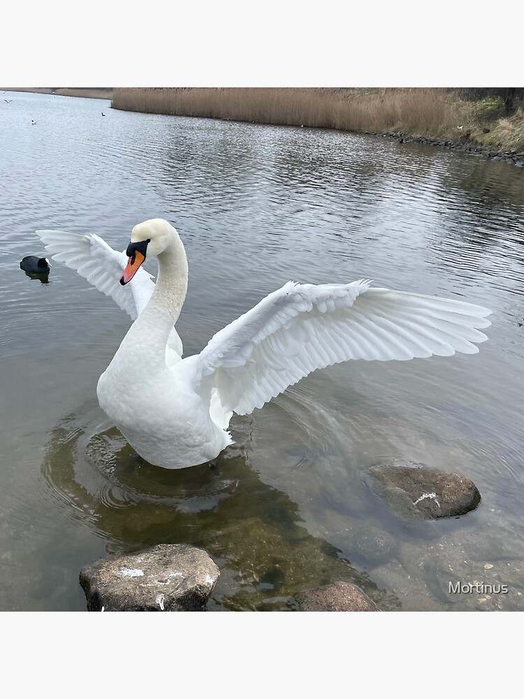 "Swan Angel • 2022 • two" Poster for Sale by Mortinus | Redbubble