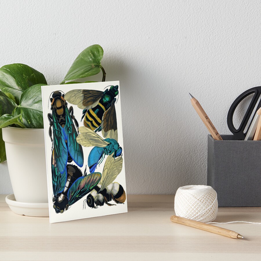 "Colorful Bees and Other Pollinators by E. A. Seguy" Art Board Print by ...