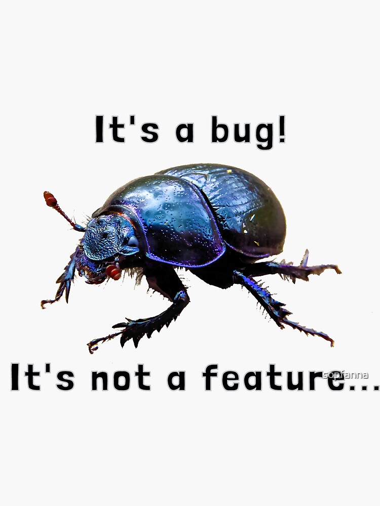 ""It's a bug! It's not a feature..." Computer scientist meme with ...