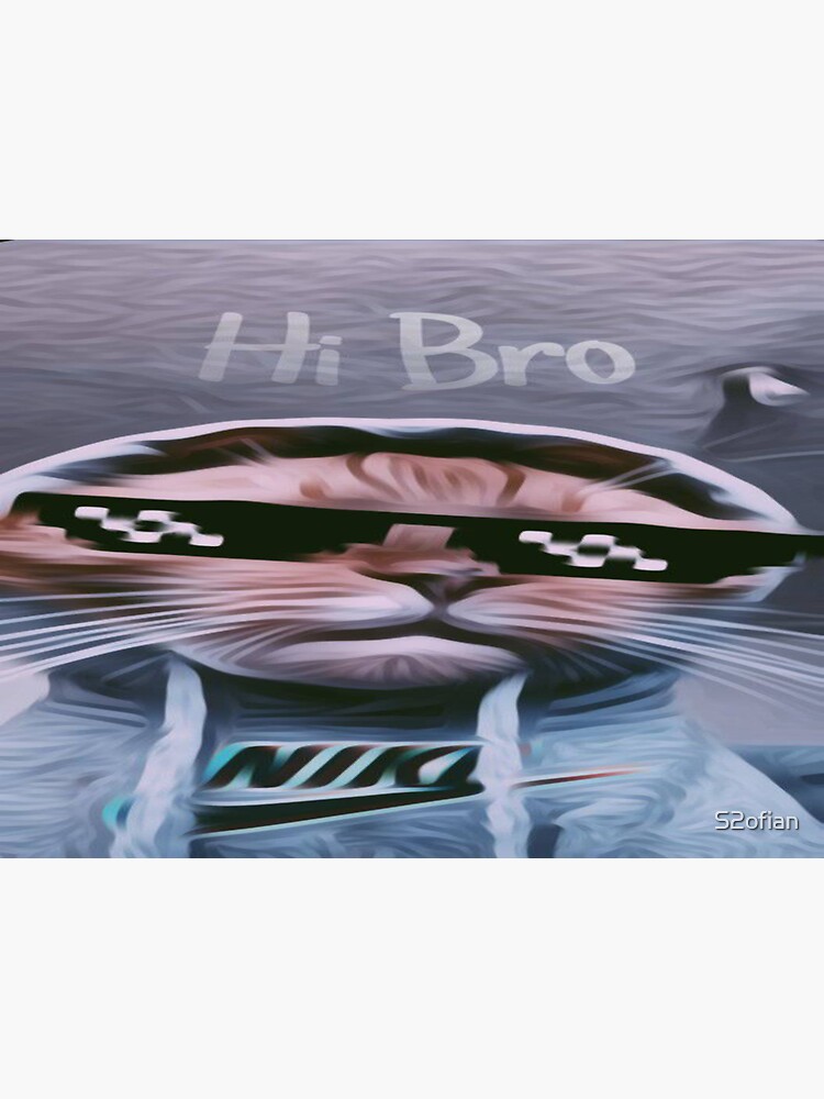 "HI bro" Sticker by S2ofian | Redbubble