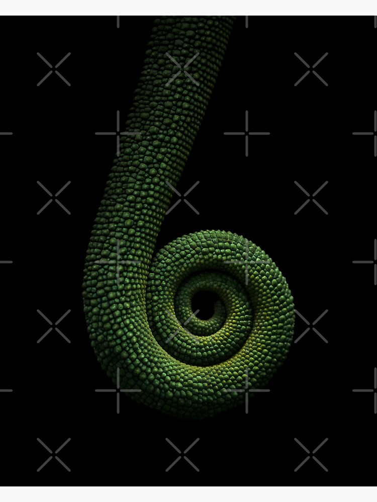"Chameleon Tail" Sticker for Sale by Davamandine | Redbubble