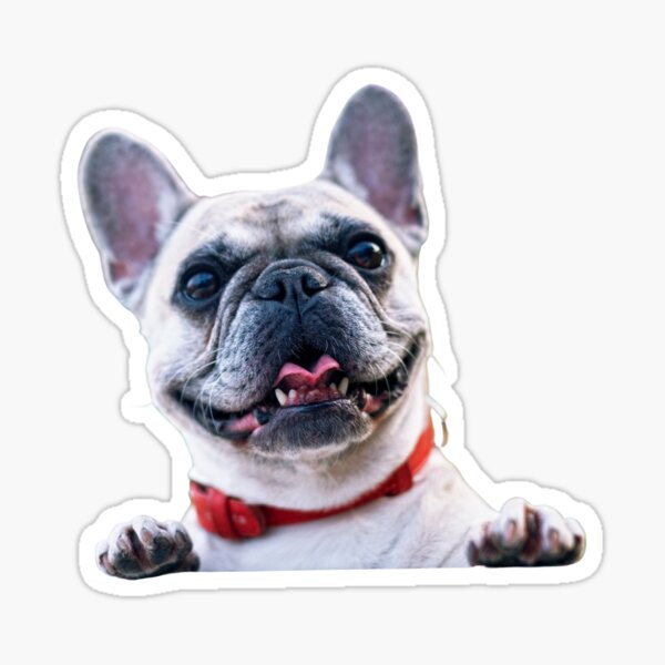 "Frenchie " Sticker for Sale by CentralGallery | Redbubble