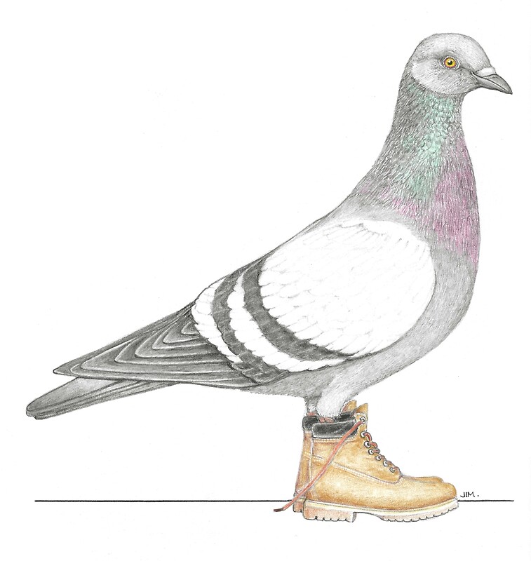 "Pigeon in Chelsea Boots" by JimsBirds | Redbubble