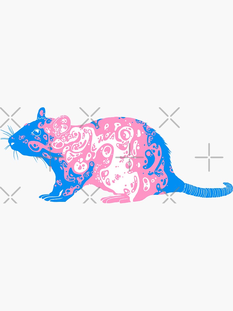 "Trans Pride Rat" Sticker by ToastGremlin | Redbubble