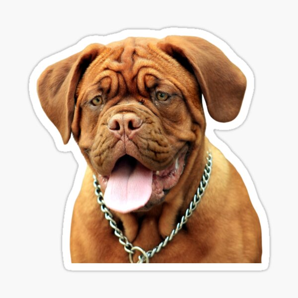 "Big Red Dog" Sticker for Sale by CentralGallery | Redbubble