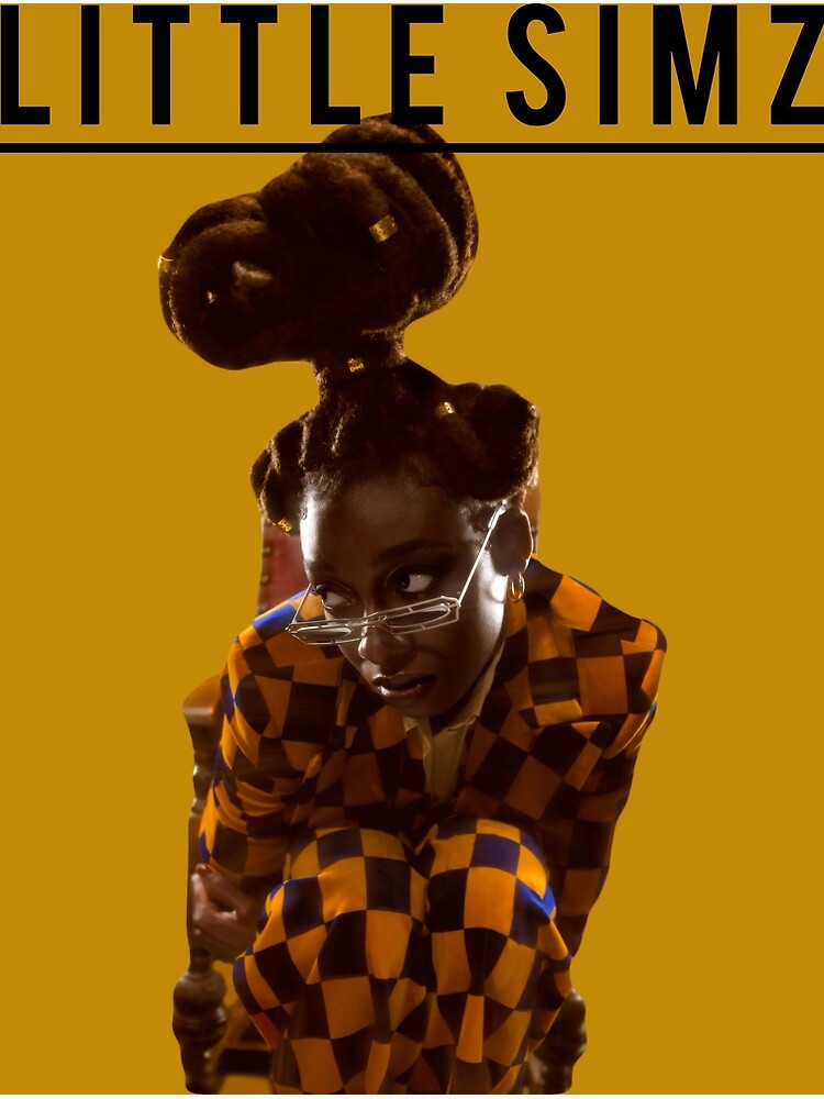 "Little Simz 'Introvert'" Poster for Sale by TamtamTown | Redbubble