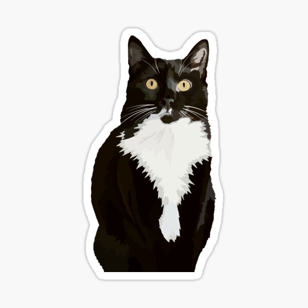 "Theo" Sticker by KatsDogs | Redbubble