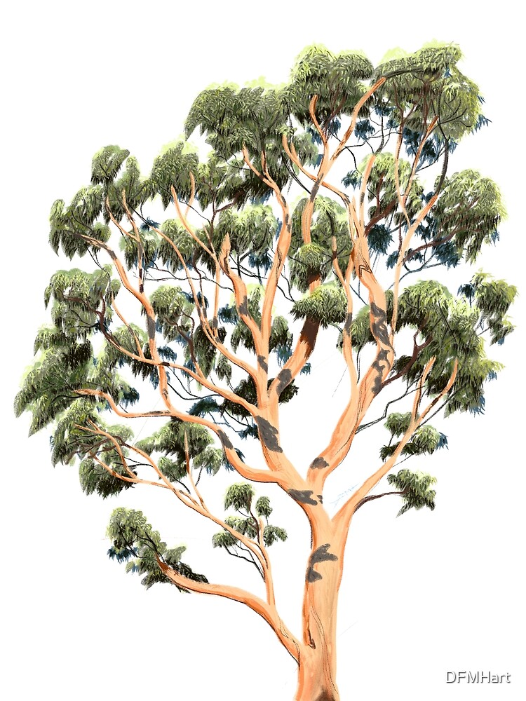 "River Red Gum Tree" Poster for Sale by DFMHart | Redbubble