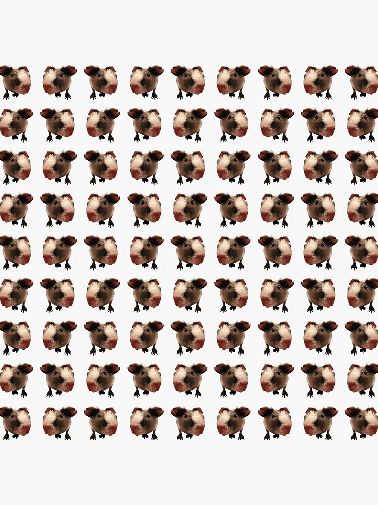 "Skinny Pig Comin' Atcha!" Sticker by rcg1127 | Redbubble