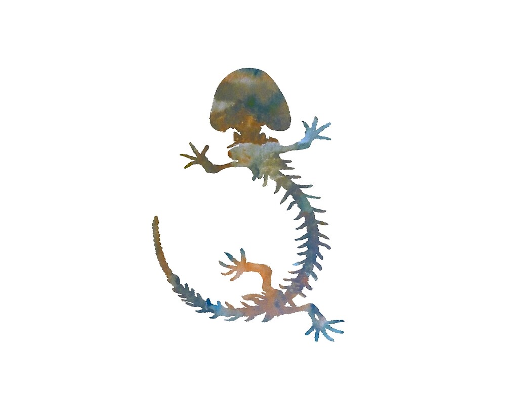 "Hellbender Skeleton" by BittenByErmines | Redbubble