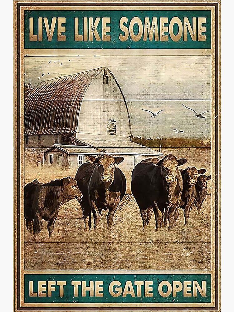 "Cow Live Like Someone Left The Gate Open" Sticker for Sale by ...