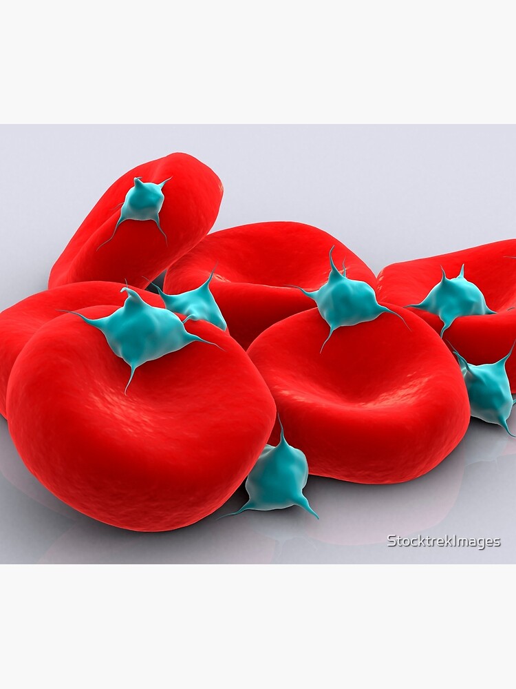 "Conceptual image of platelets with red blood cells." Travel Coffee Mug ...