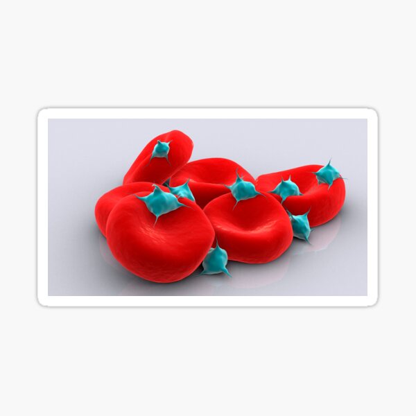 "Conceptual image of platelets with red blood cells." Sticker for Sale ...