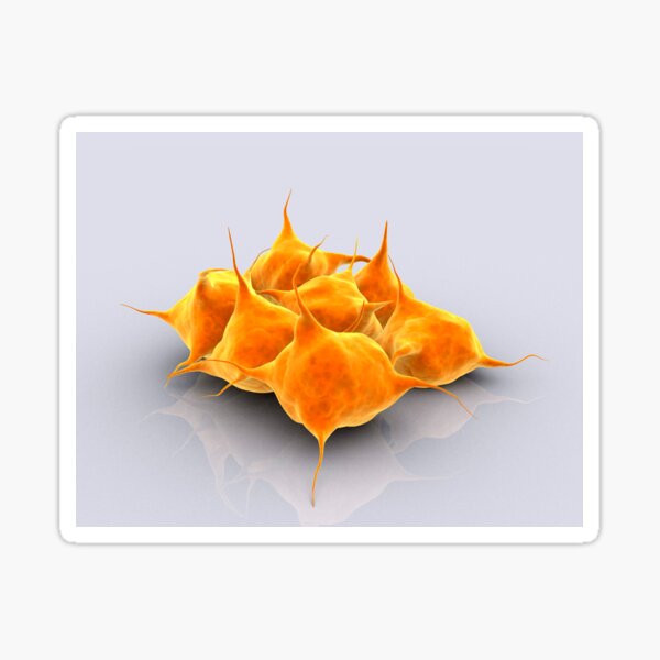 "Conceptual image of a group of platelets." Sticker for Sale by ...