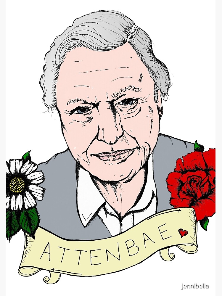 "David Attenborough - AttenBae in Colour" Spiral Notebook by jennibella ...