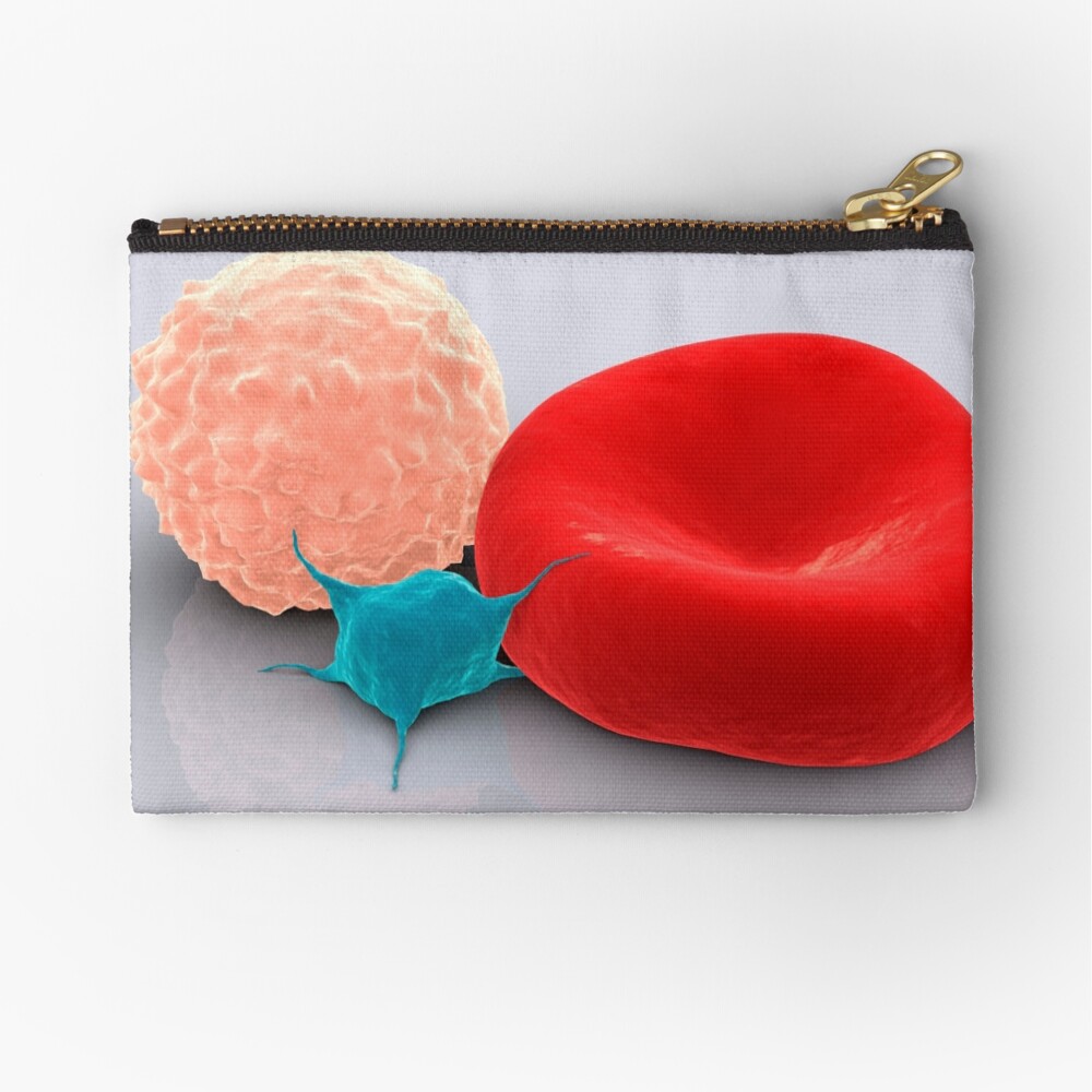 "Conceptual image of platelet, red blood cell and white blood cell ...