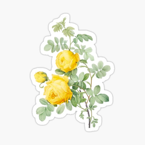 "Yellow Rose Flower Design" Sticker by Easypeasy12 | Redbubble