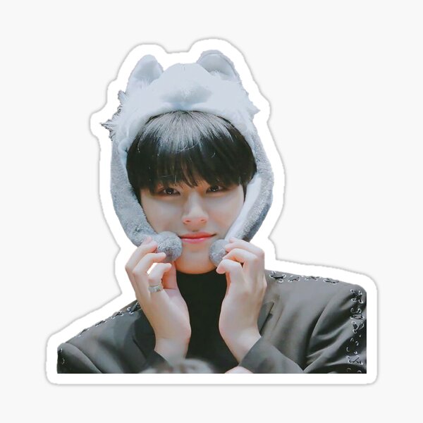 "Seventeen Cute Mingyu" Sticker by kpopnow | Redbubble