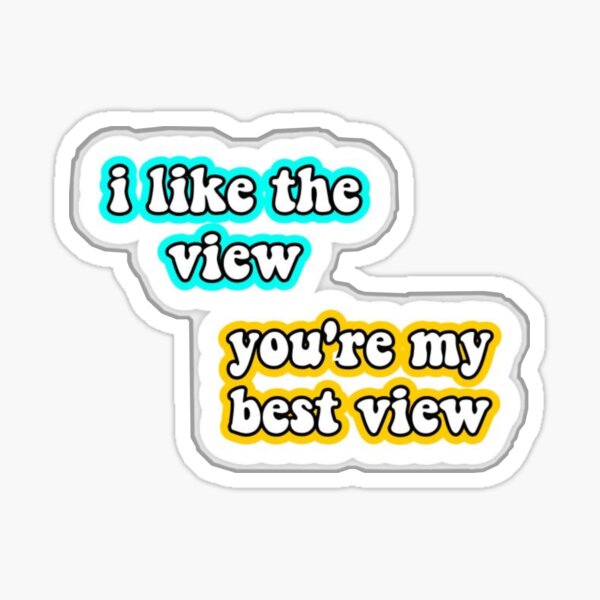 "tiktok I like the view meme" Sticker for Sale by stickerbylucyy ...